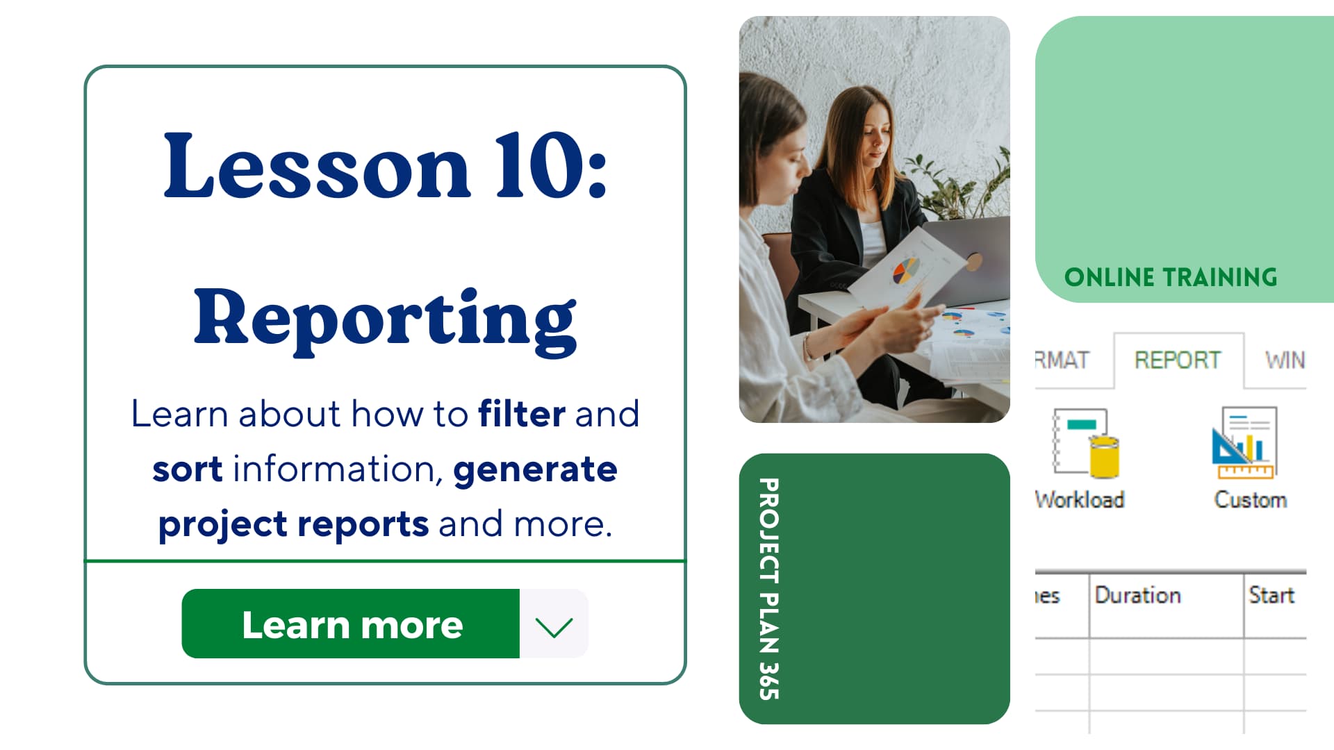 Lesson 10: Reporting - Project Plan 365