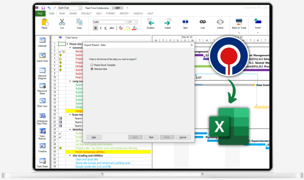 Export to Excel - Project Plan 365