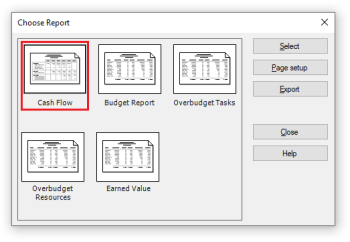 Cash Flow Report - Project Plan 365