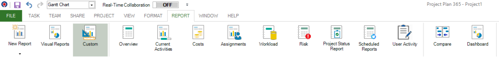 Custom Reports - Project Plan 365