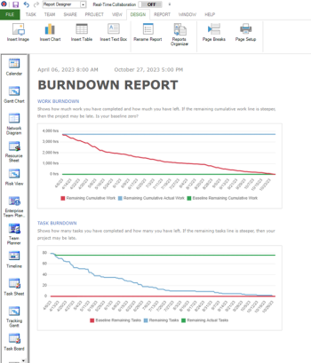 Visual Reports - Project Plan 365