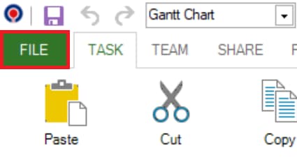 Download project from ChatGPT Plugin - Project Plan 365