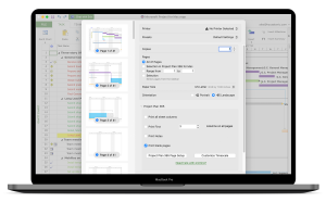 Microsoft Project for Mac - Project Plan 365