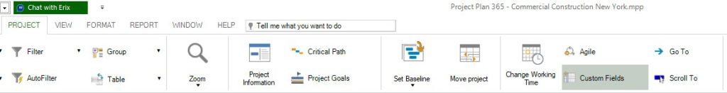 Custom Fields - Project Plan 365