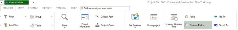 Custom Fields - Project Plan 365