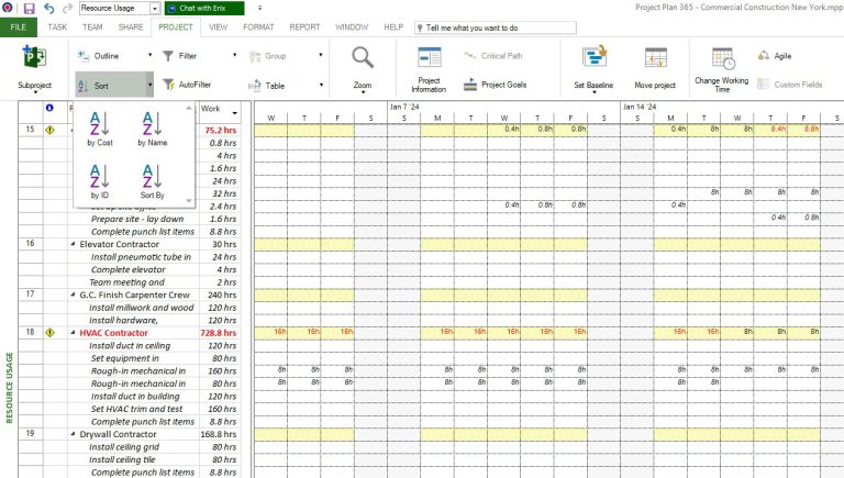 Resource Usage - Project Plan 365