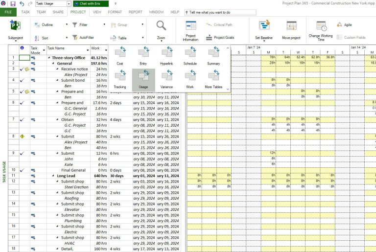 Task Usage - Project Plan 365