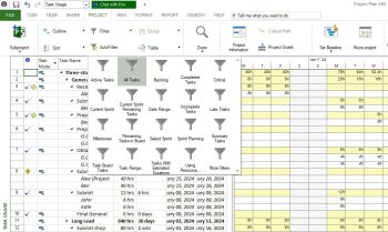 Task Usage - Project Plan 365