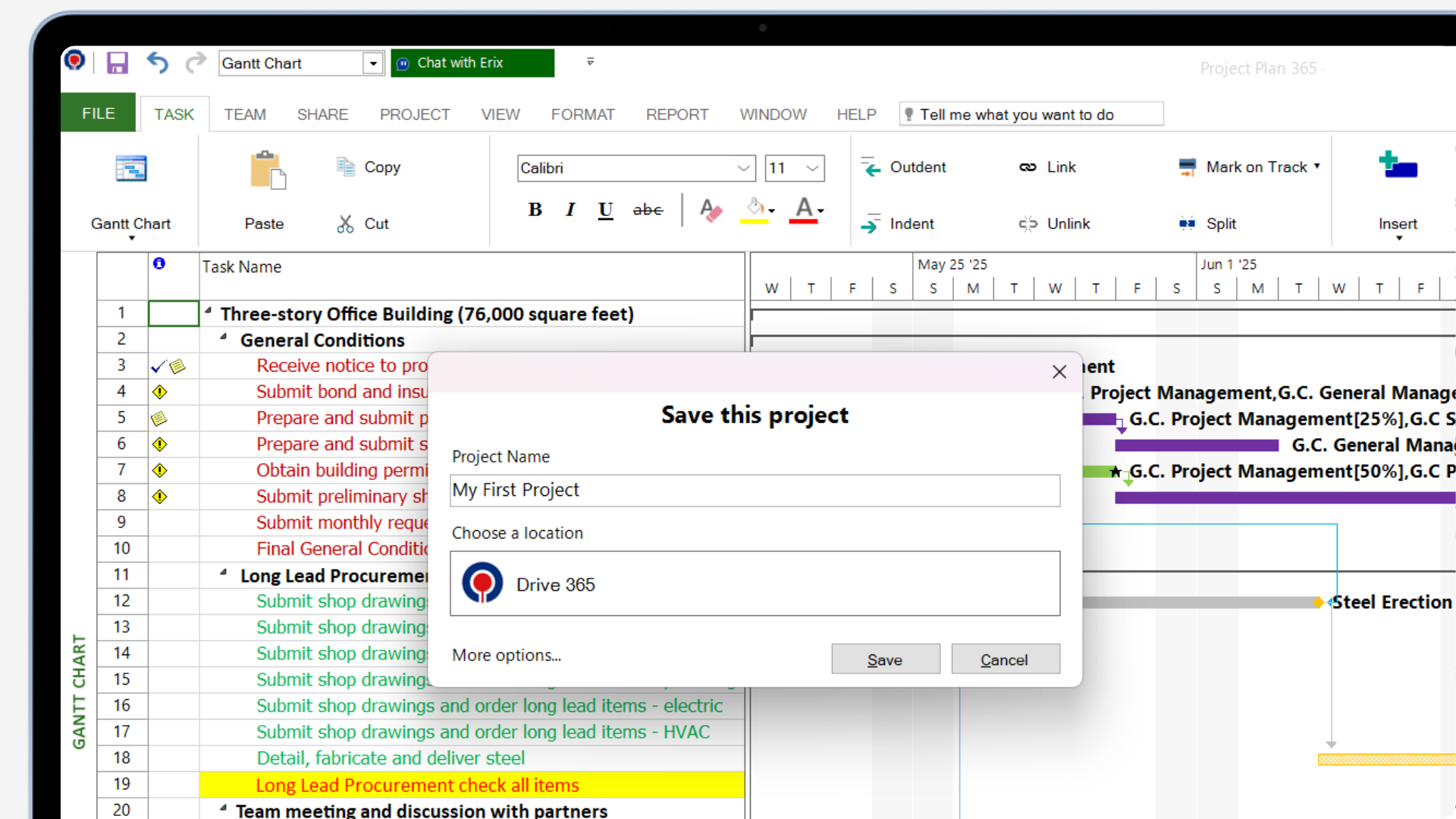 Save Your First Project - Project Plan 365
